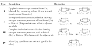 Bertolotti Syndrome: A Potential Cause of Low Back Pain - Illinois ...